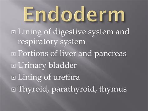 PPT Introduction To Tissues PowerPoint Presentation Free Download ID 2182105