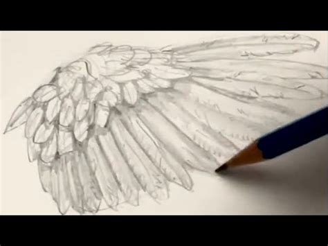 How To Draw Realistic Wings