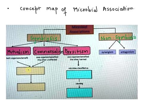 Solved Can Someone Help Me Chap6 Homework Microbial Nutrition Drag And Drop The Labels Into