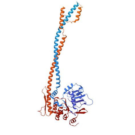 Rcsb Pdb 6wge Cryo Em Structure Of Human Cohesin Nipbl Dna Complex Without Stag1