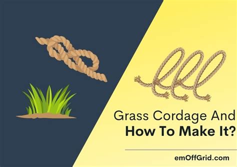 3 Steps To Make Grass Cordage