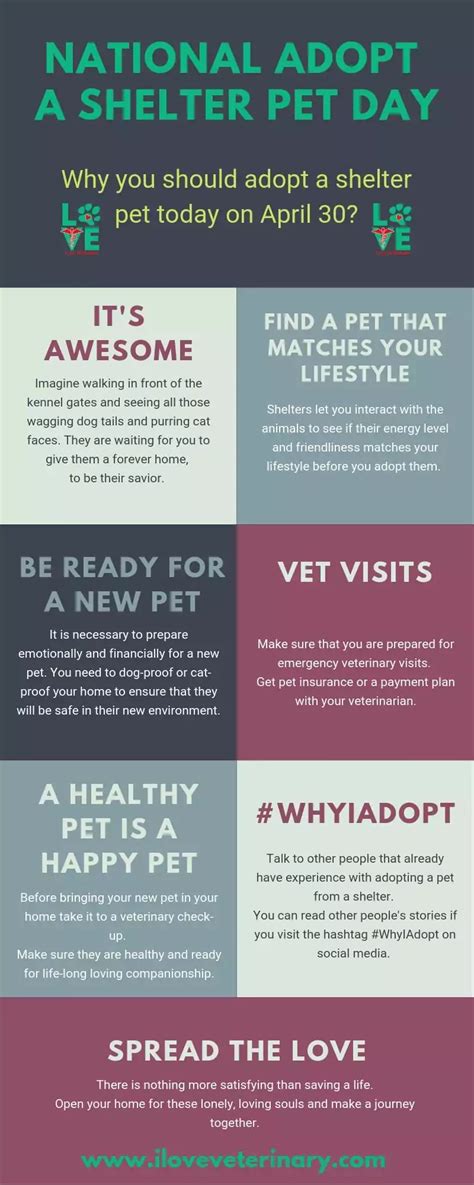 National Adopt A Shelter Pet Day - April 30 - I Love Veterinary