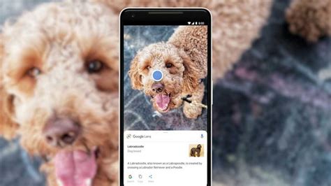 Google Lens Nedir Teknodiot Com