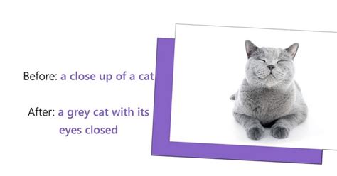 microsoft s new image captioning ai is as accurate as humans beebom