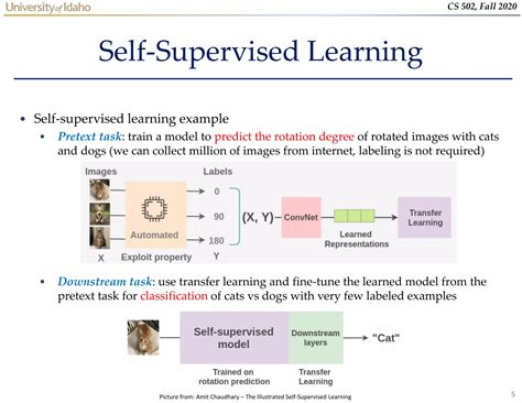 Lecture16self Supervisedlearningpptx