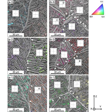 ebsd orientation maps of β phase and α phase morphology in y z section