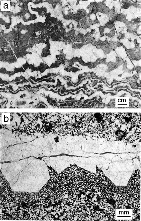 A Layers Of Comb Textured Quartz Separated By Interlayers Of