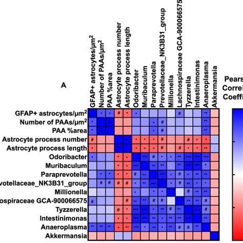 Astrocyte Phenotypes Correlate With Bacterial Genera Altered By Abx Download Scientific Diagram