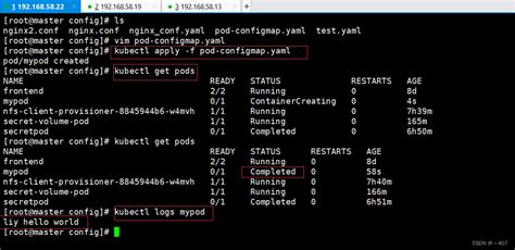 kubernetes（k8s） 配置管理 kubectl查看容器的配置文件 csdn博客