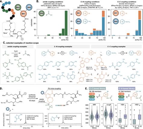 Small Molecule Peptide Conjugates Formed From Three Building Blocks And Download Scientific