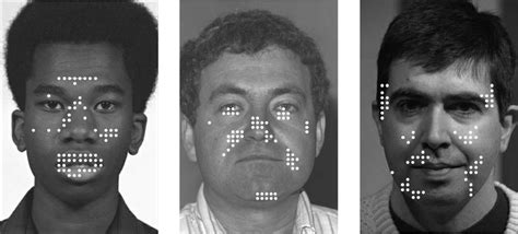Some Examples Of Discriminant Graphs Learning During The Training