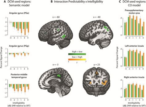 Group Level Fmri Results Illustrating Brain Regions That Are Sensitive Download Scientific