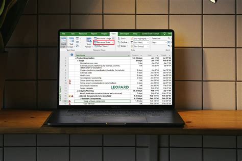 how to assign resources in ms project leopard project controls