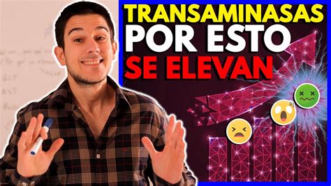 Transaminasas ¿qué Son ¿por Qué Las Tengo Elevadas Guía Completa