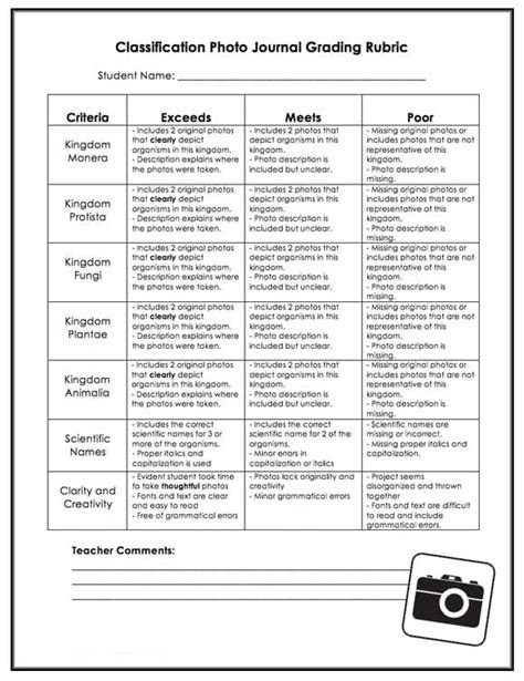 Classification Taxonomy Photo Journal Project Assessment Tpt