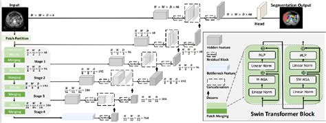 Abdominal Multi Organ Segmentation In Ct Using Swinunter Paper And Code Catalyzex