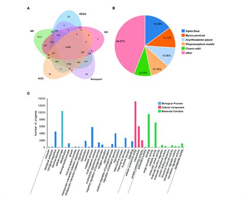 Transcriptomic Annotation For Pseudoregma Bambucicola Salivary Glands