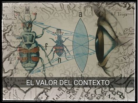 El Valor Del Contexto