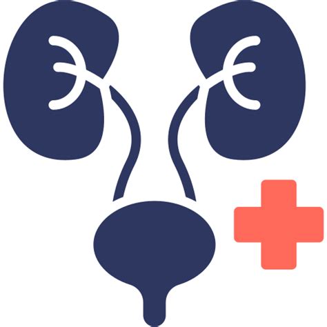 Urology Generic Color Fill Icon