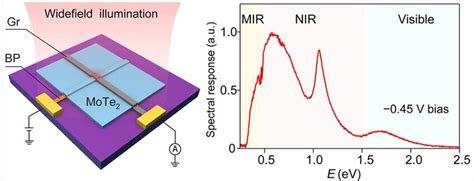 Toc High Performance Mid Ir To Deep Uv Van Der Waals Photodetectors Download Scientific