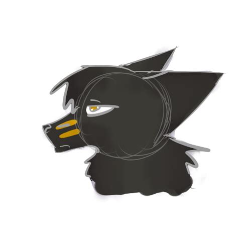 Scetch T By Wild Freedom On Deviantart