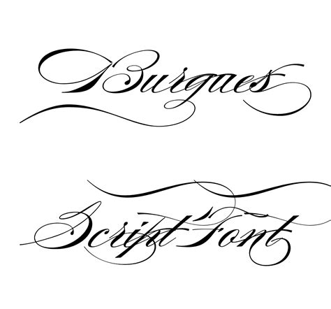 Burgues Script Font Dafonts Style