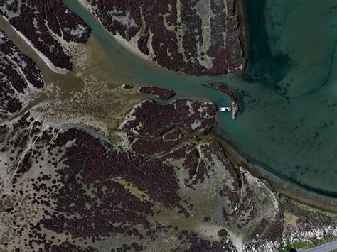 Türkiyes Gediz Delta Faces Drought Pollution Threats Türkiye Today