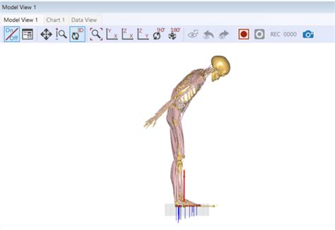 Lesson 3 Reviewing Analysis Results — Anybody Tutorials V814 3