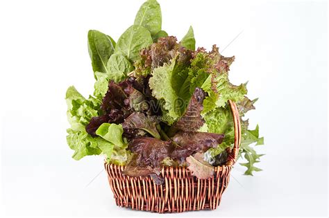 채소 사진 무료 다운로드 Lovepik