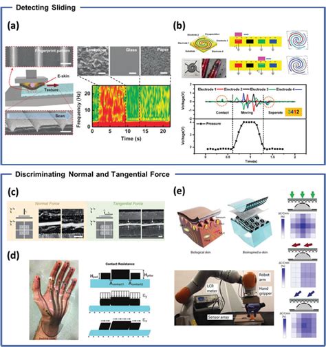 a texture‐perceiving piezoelectric pvdf sensor detecting download