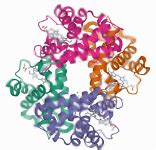 RCSB PDB Contact Scientific And Customer Support