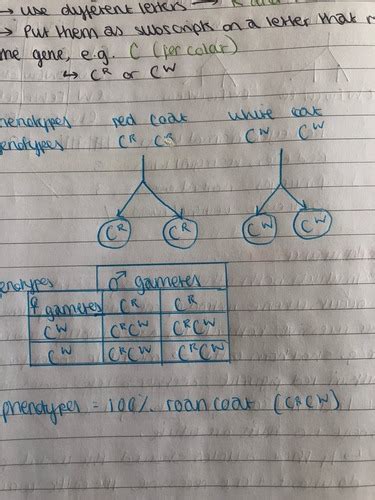 Bio 7 1 Inheritance Flashcards Quizlet