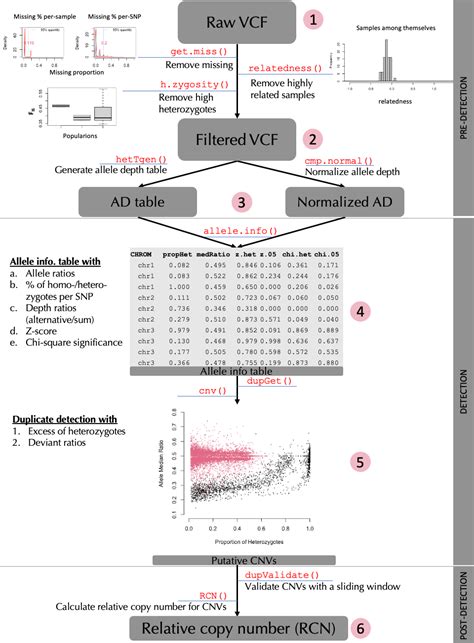 Detecting CNV From SNPs A Quick Guide To RCNV RCNV