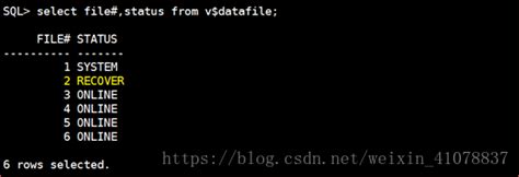 oracle 11g r2 rman备份与恢复 oracle备份rman csdn博客