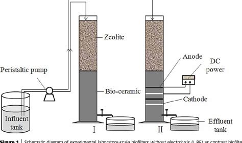 Figure 1 From High Performance Of Nitrogen And Phosphorus Removal In An Electrolysis Integrated