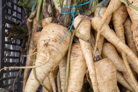 Premium Photo Close Up Of Parsnip Vegetable Background