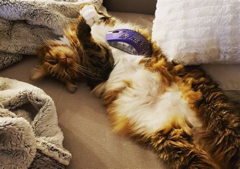 Glide Data Transformation Language Documentation In Comments R