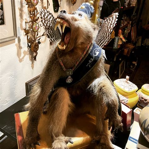 Taxidermy Dolly Python