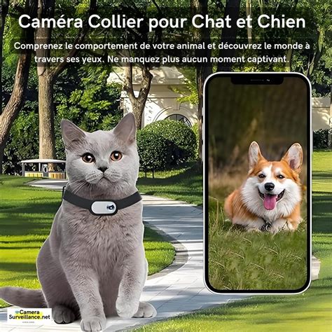 Caméra Collier Embarquée Pour Animaux De Compagnie Chien Et Chat