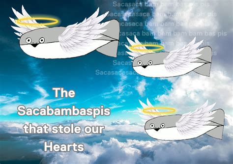 The Sacabambaspis That Stole Our Hearts We Are