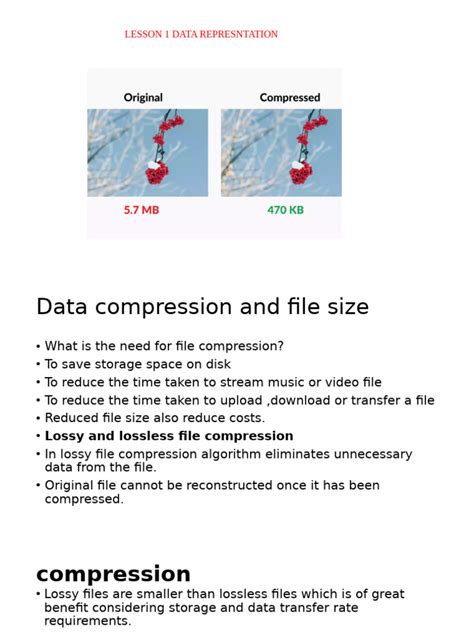 1 3 data storage and file compression pdf
