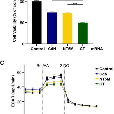 Cellular Effects On Differences Of Substrate Preference On Dtmp A