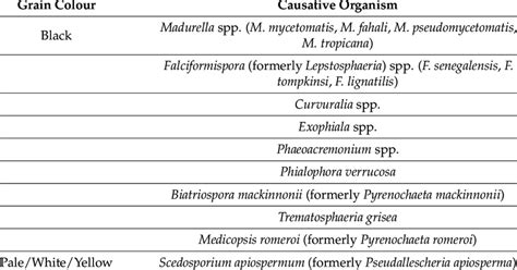 Causative Agents Of Eumycetoma Download Scientific Diagram