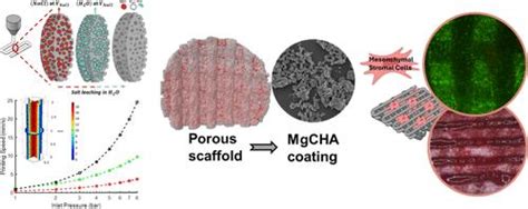 涂覆 Mg 掺杂羟基磷灰石的 3d 打印多孔聚（丙交酯 共三亚甲基碳酸酯）支架的成骨潜力 Acs Applied Materials And Interfaces X Mol