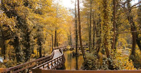 Tublian Open Source Internship Cohort3 A Path To Open Source Master