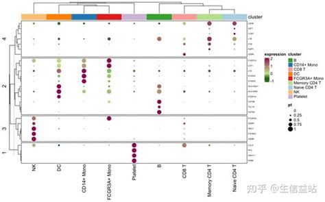 R绘图技巧30 Complexheatmap版本的复杂dotplot一 知乎