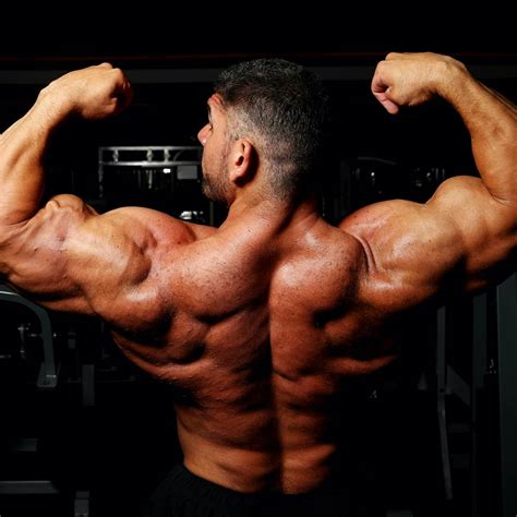 Muscle Lover The World Of Bodybuilders Greek Australian Bodybuilder