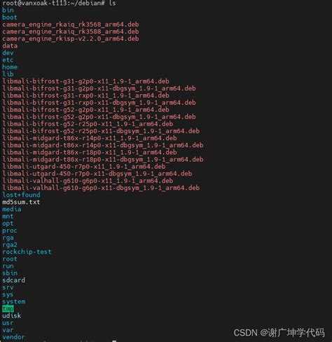 如何修改debian文件系统 文件系统怎么改 csdn博客