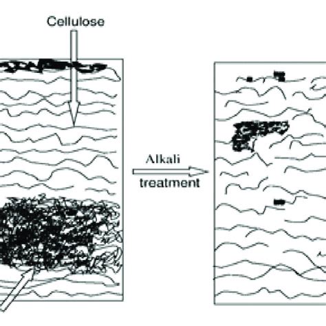 Pdf A Review On Chemical Modification By Using Sodium Hydroxide Naoh To Investigate The