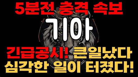 기아 대박속보 터졌습니다기아 기아주가 Youtube